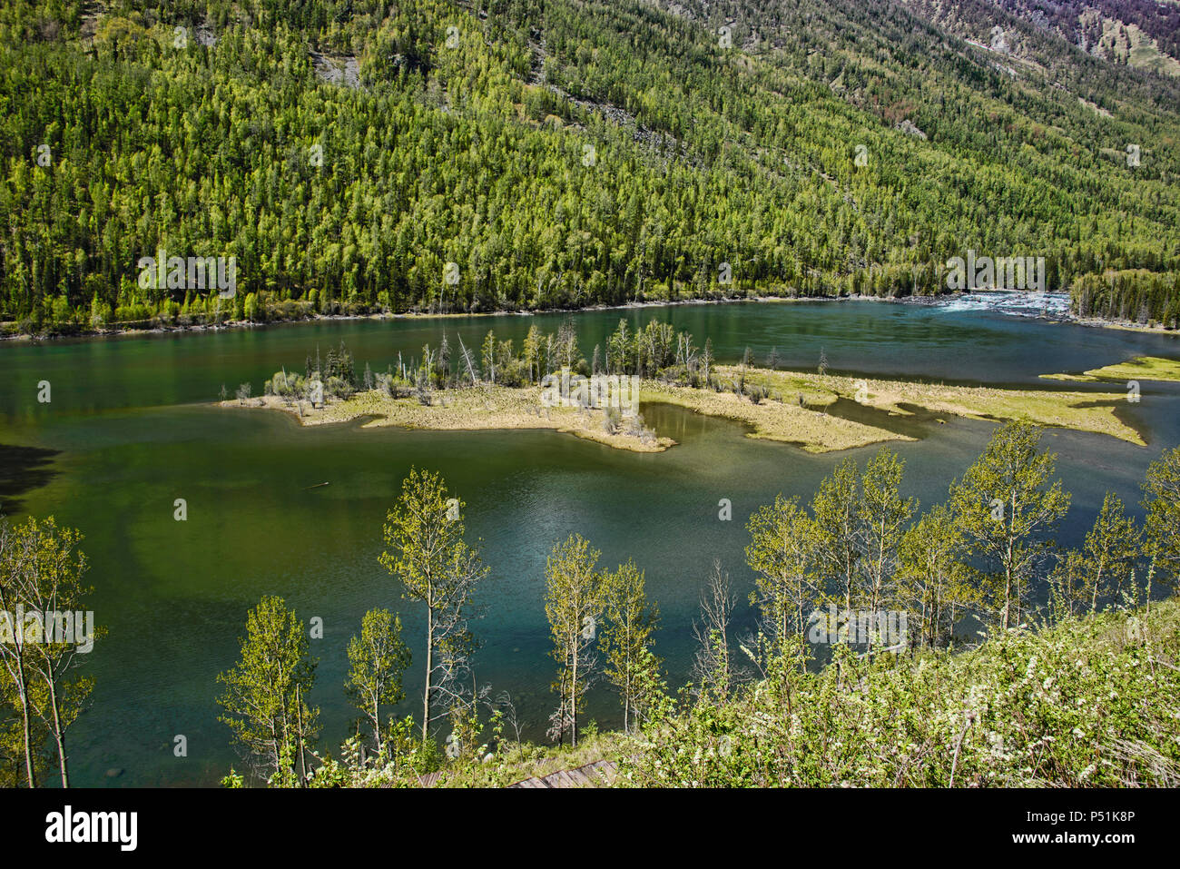 Gorgeous northern scenery at Kanas Lake National Park, Xinjiang, China ...