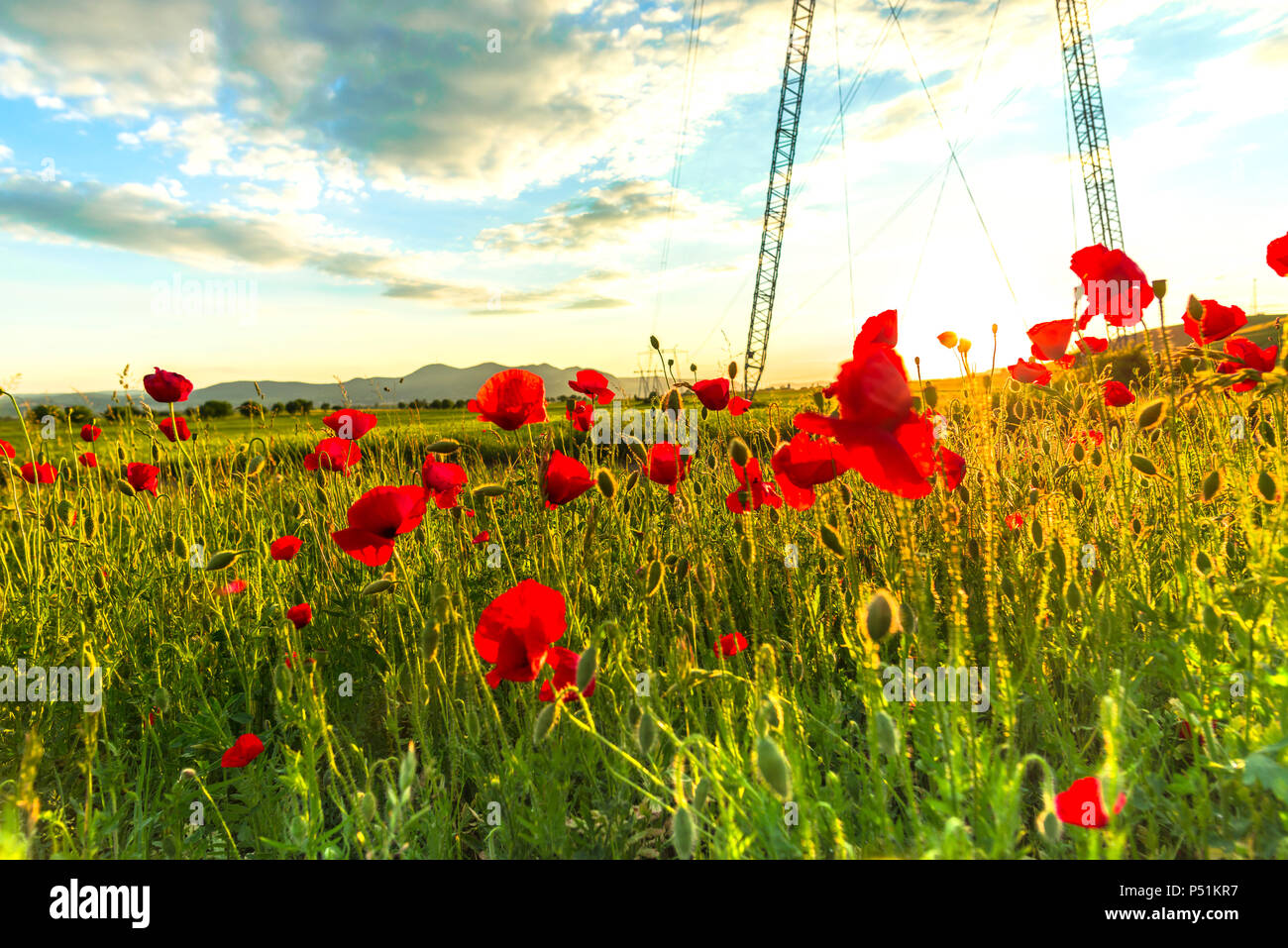Amazing springtime landscapoe Stock Photo - Alamy