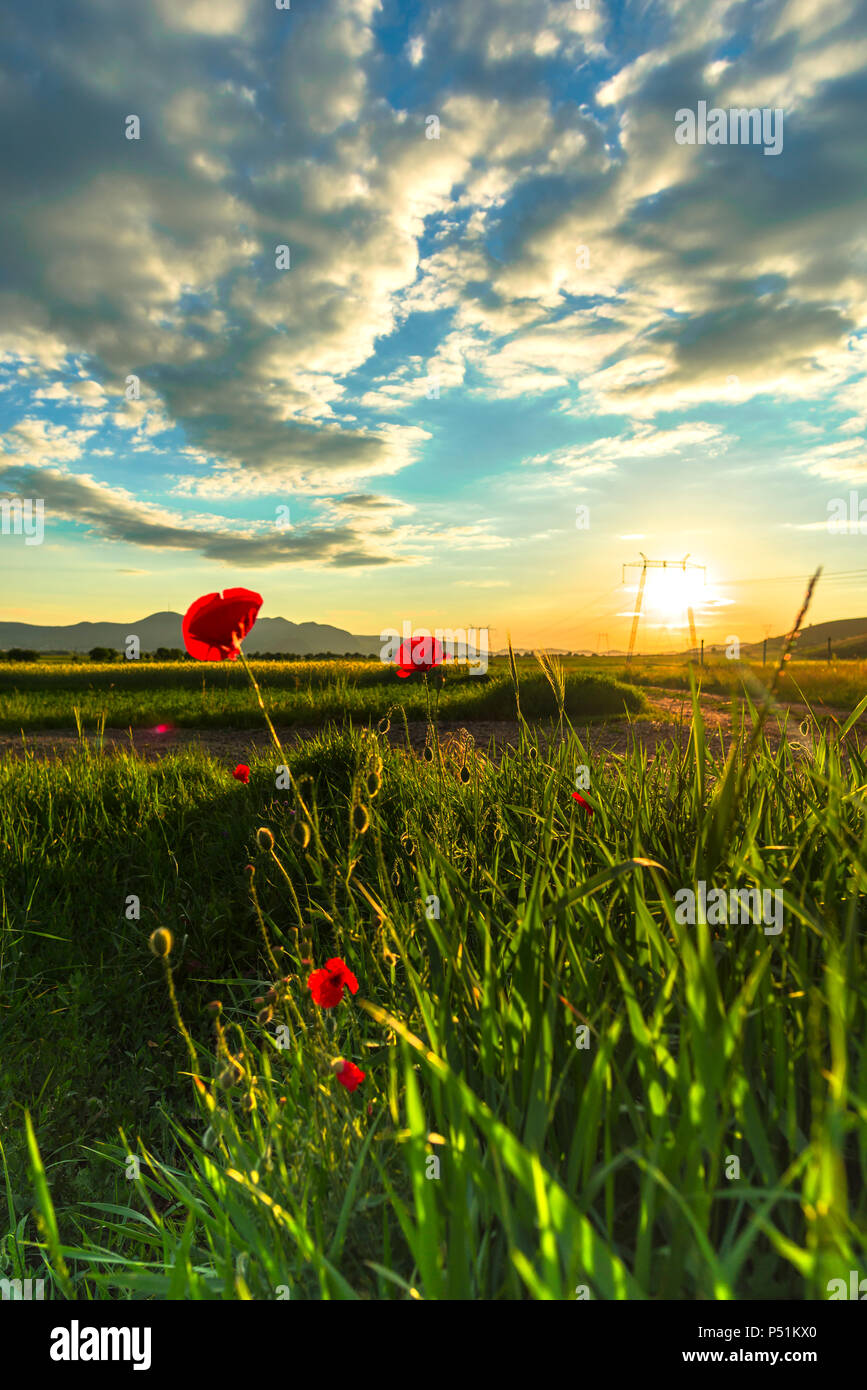 Amazing springtime landscapoe Stock Photo - Alamy