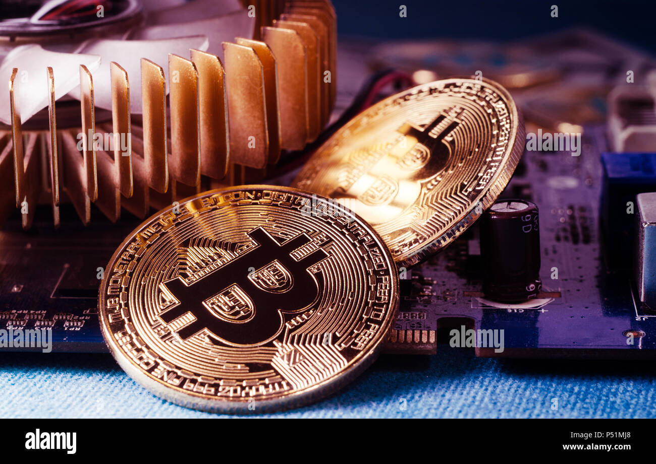 Physical Gold Bitcoin Coin on a computer video card. New independent ...