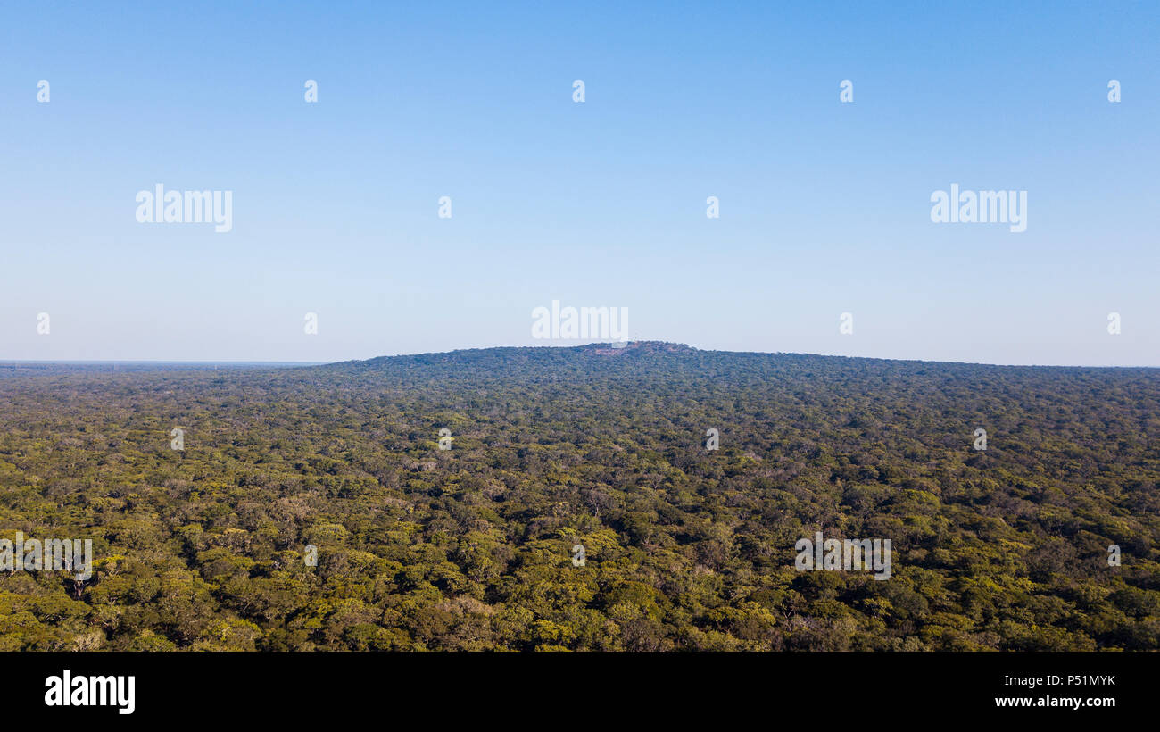 Kalumbila forest hi-res stock photography and images - Alamy
