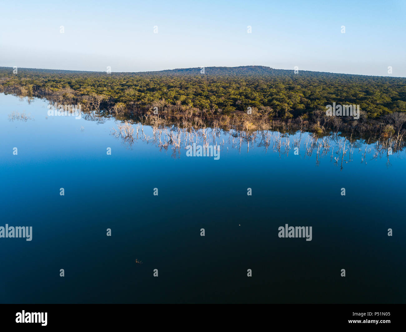 Trees line a man-made dam in Kalumbila, Zambia Stock Photo - Alamy