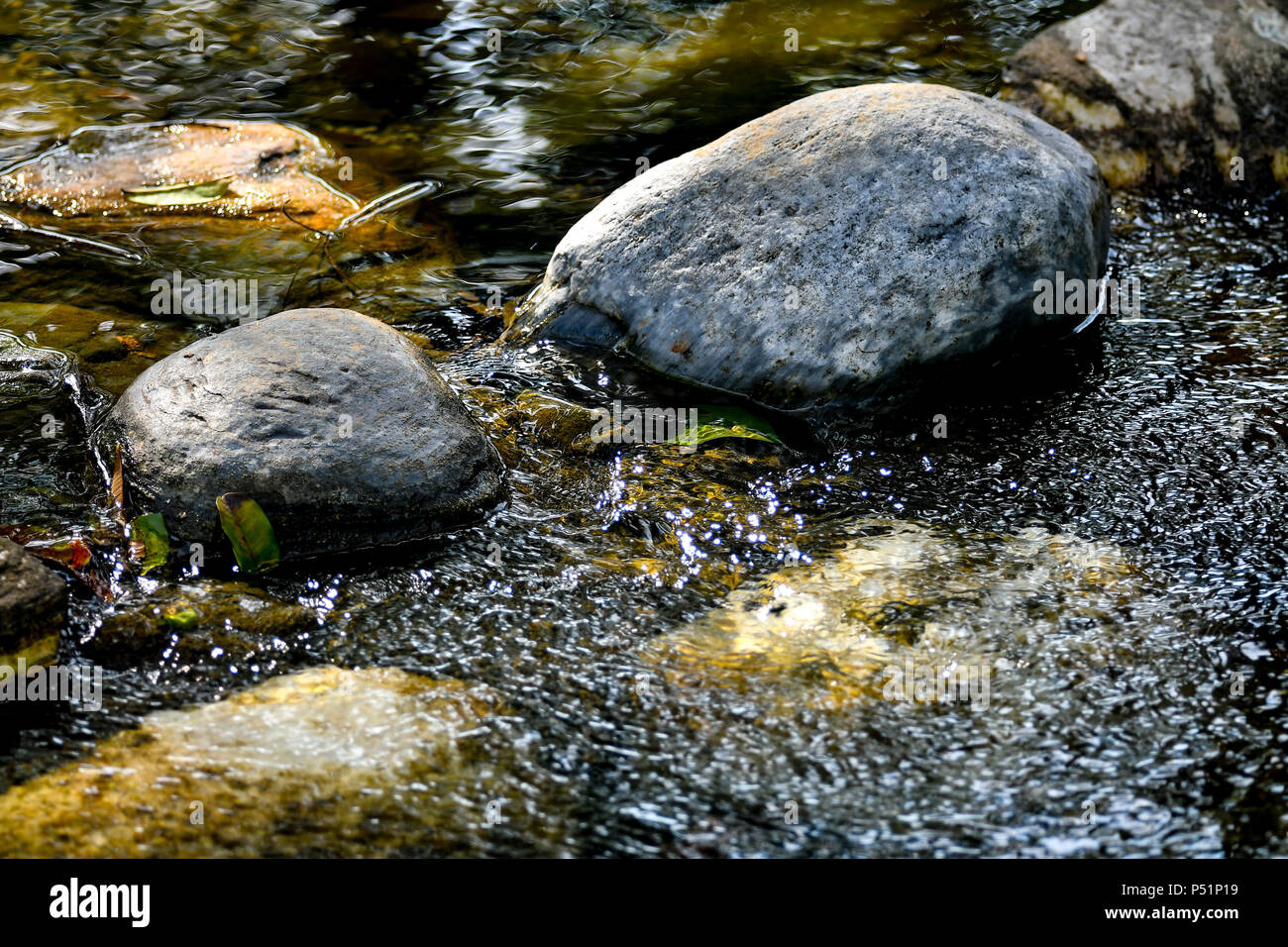 stream river stones Stock Photo - Alamy