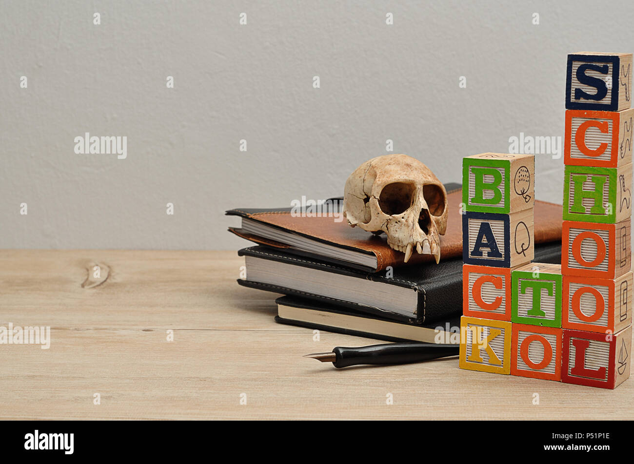 Monkey Pen High Resolution Stock Photography and Images - Alamy