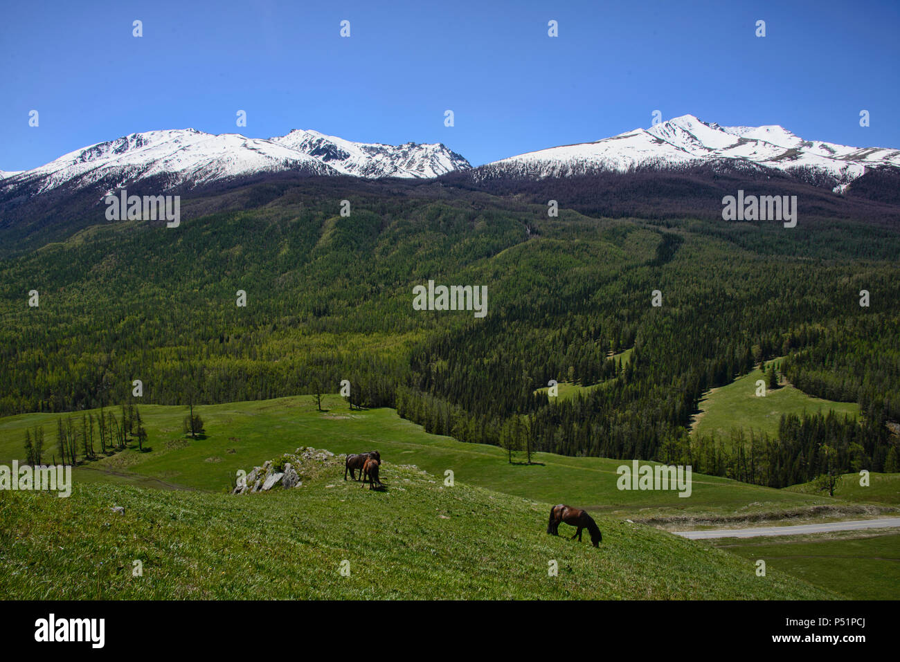 Gorgeous northern scenery at Kanas Lake National Park, Xinjiang, China ...