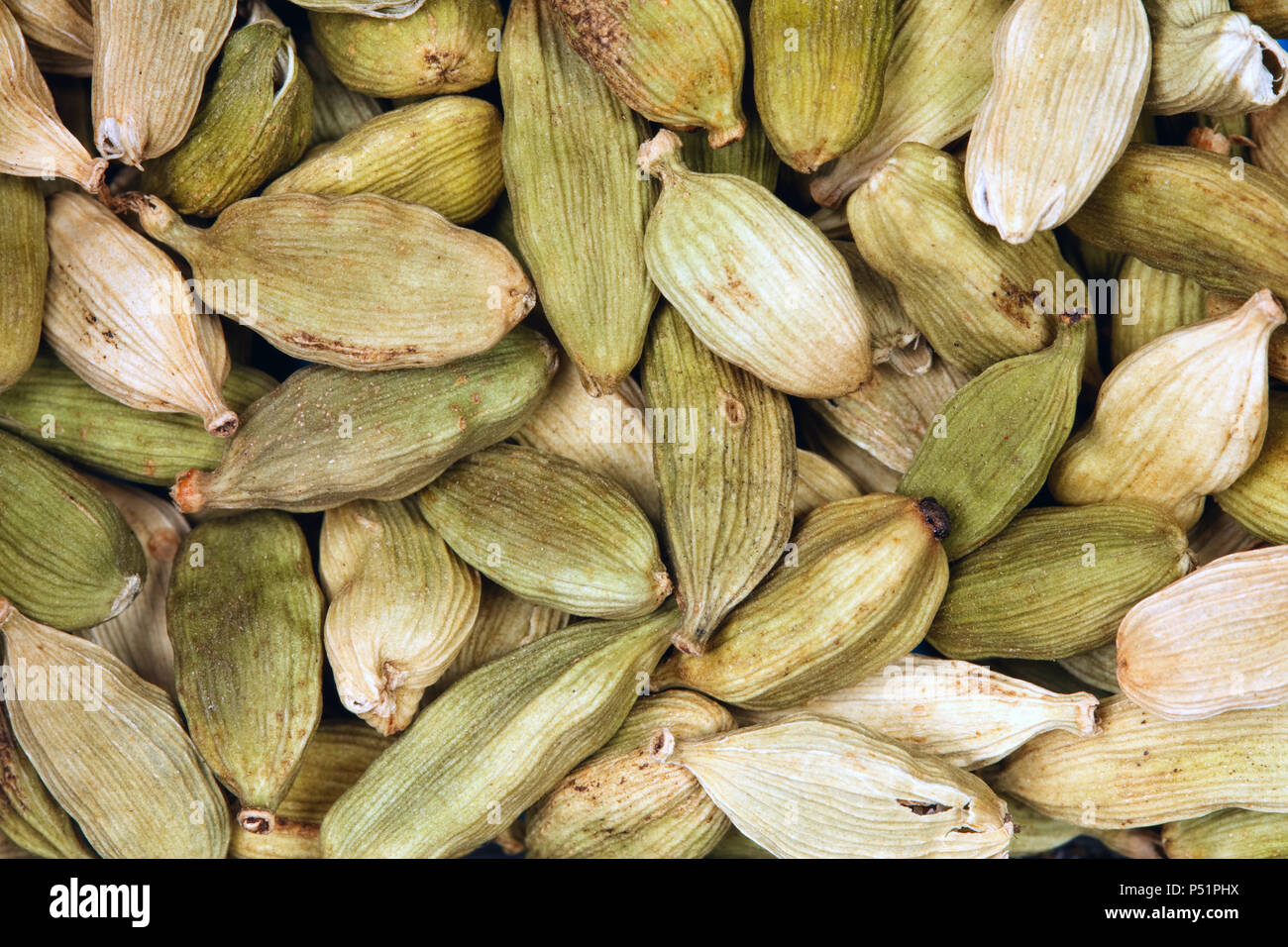 Cardamon plant hi-res stock photography and images - Alamy