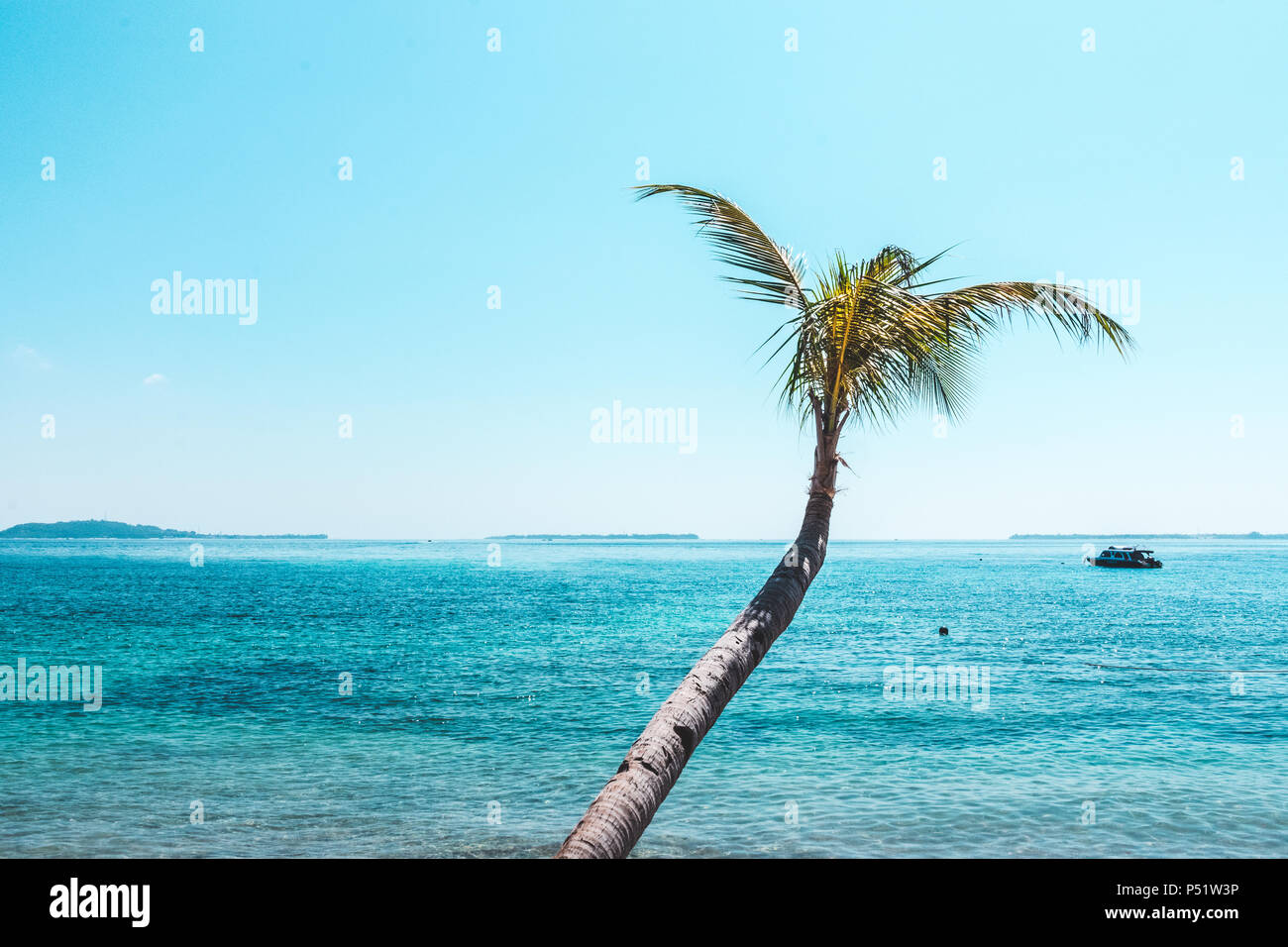 Island coconut tree hi-res stock photography and images - Alamy