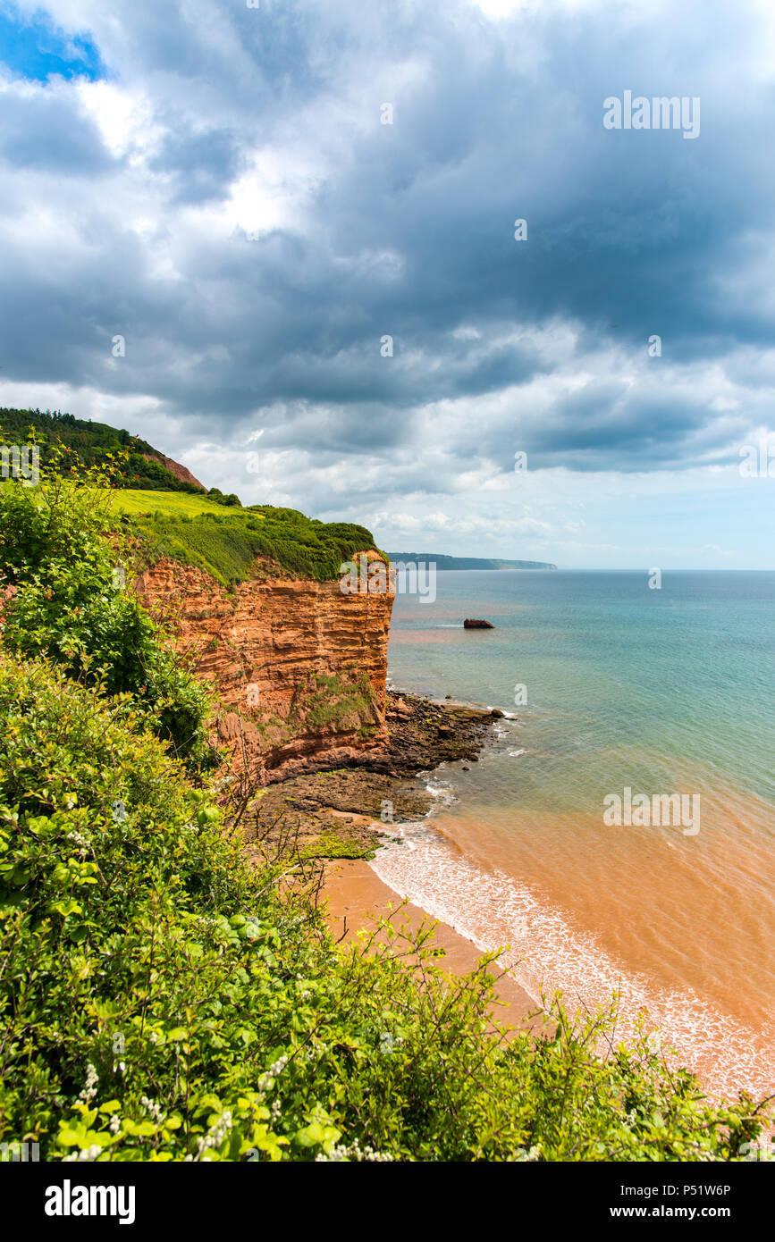 Sandy bay devon hi-res stock photography and images - Alamy