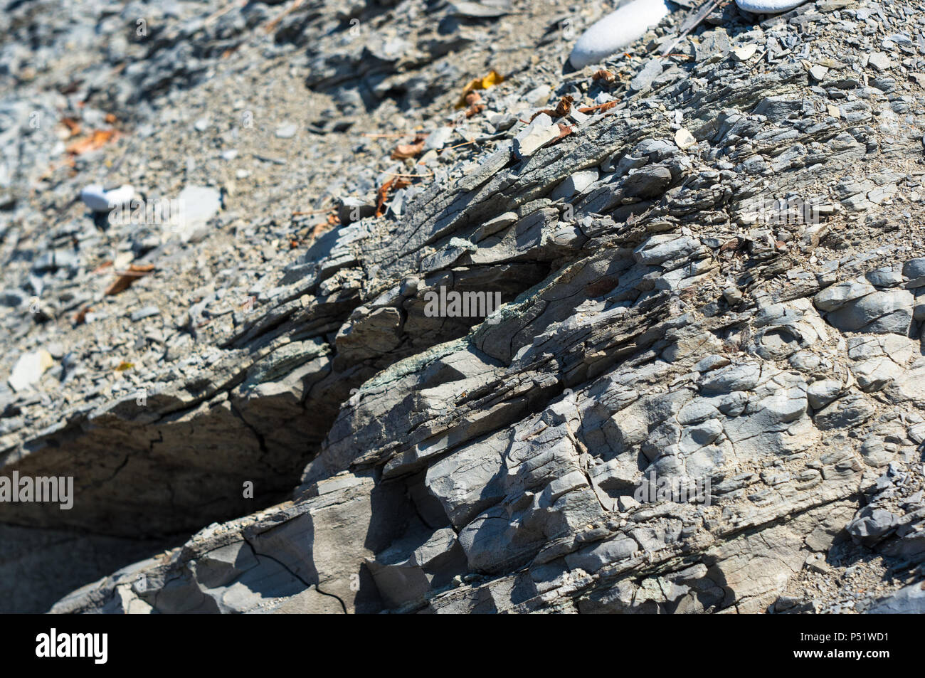 rock formations and stones of the sea coast, weathered and smoothed by ...