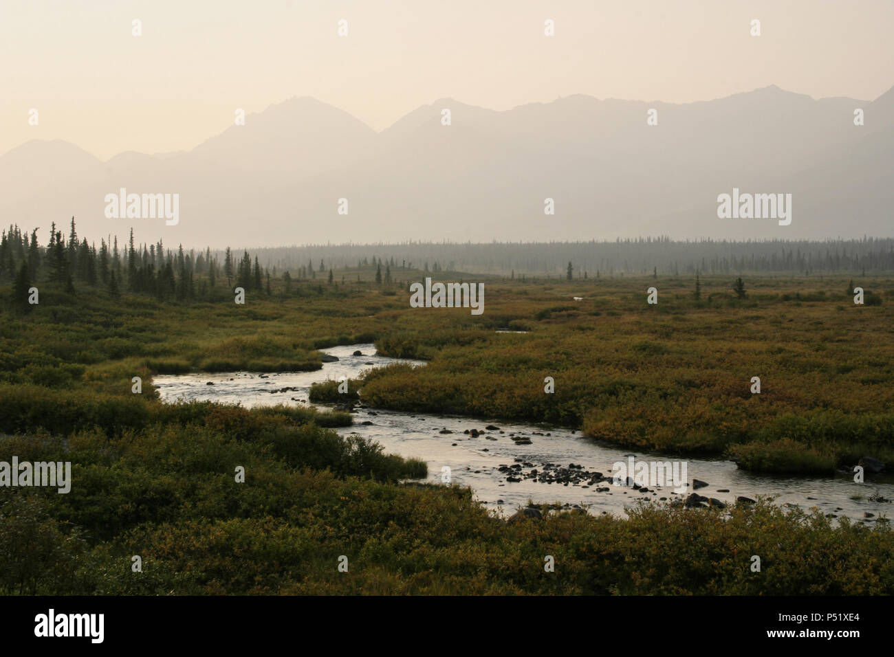 Scenic Alaskan landscape shrouded in mist with a river winding through ...
