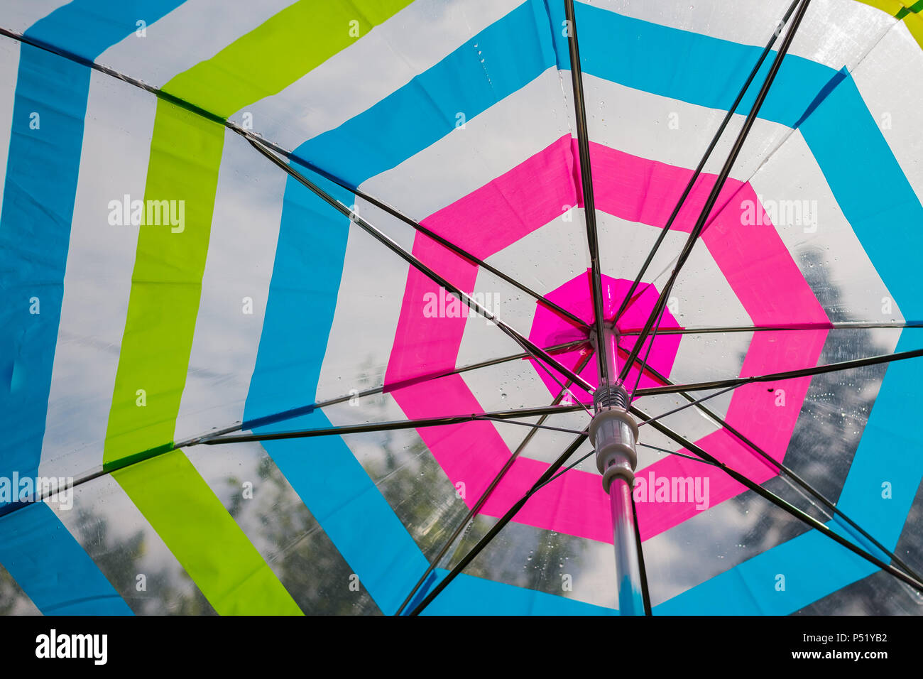 autumn mood. Fallen leaves and raindrops on a transparent umbrella ...