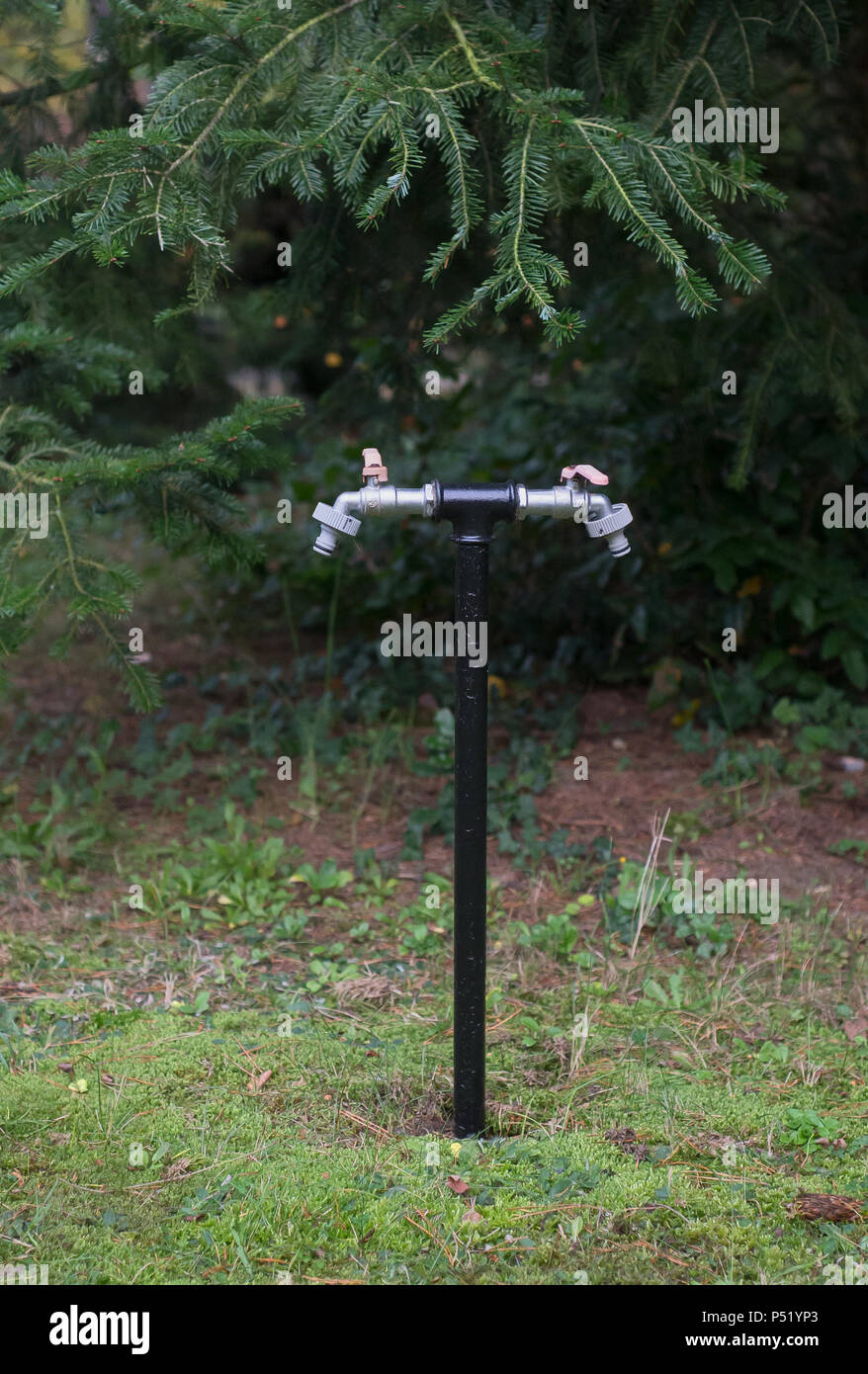 Water taps in a garden Stock Photo - Alamy