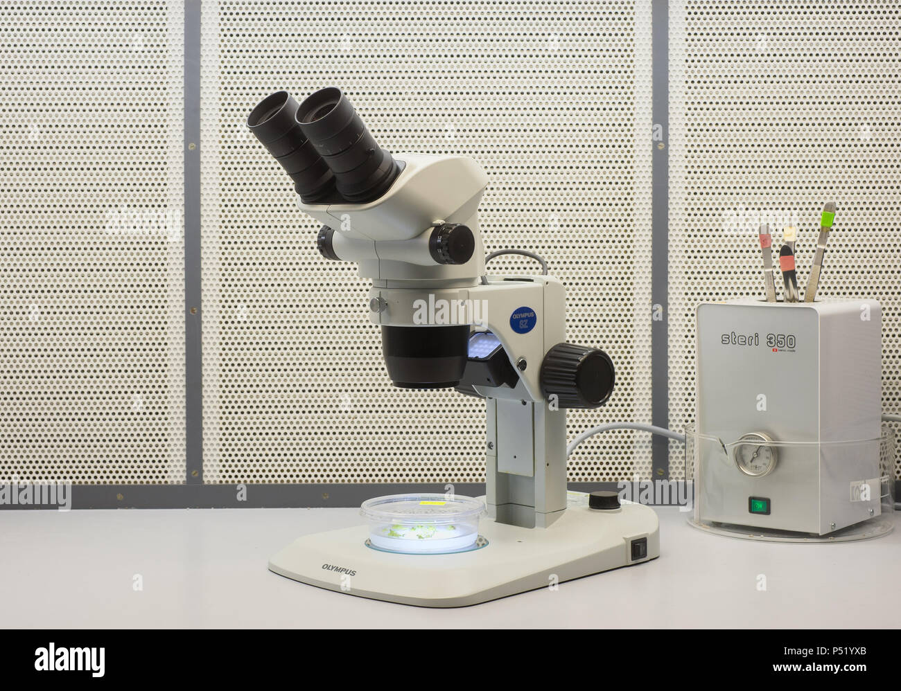 Horizontal microscope hi-res stock photography and images - Alamy