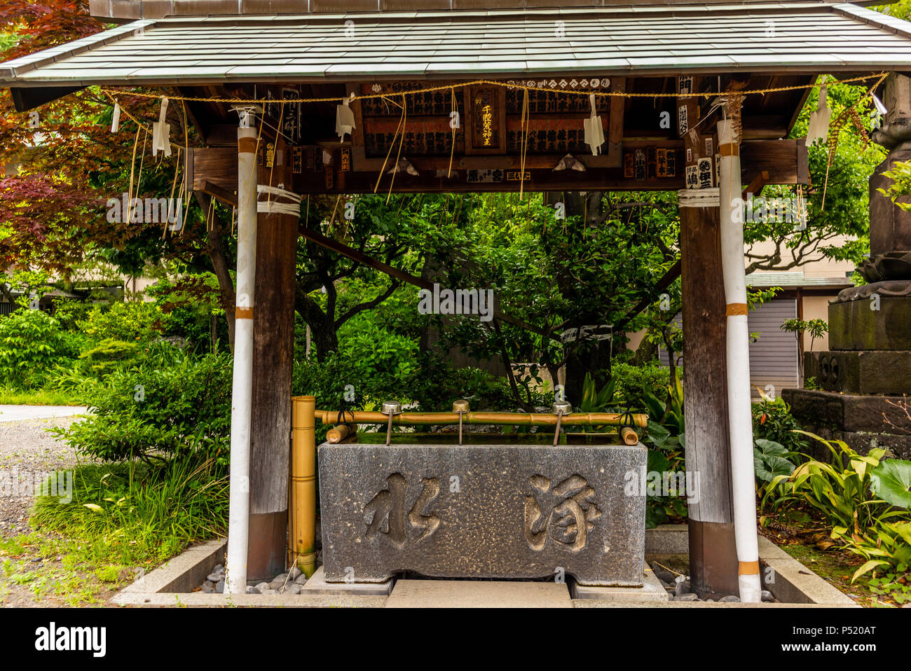 Stillness at the water basin at the entrance of a shrine in Japan for ...