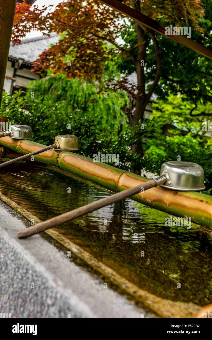 Stillness at the water basin at the entrance of a shrine in Japan for ...