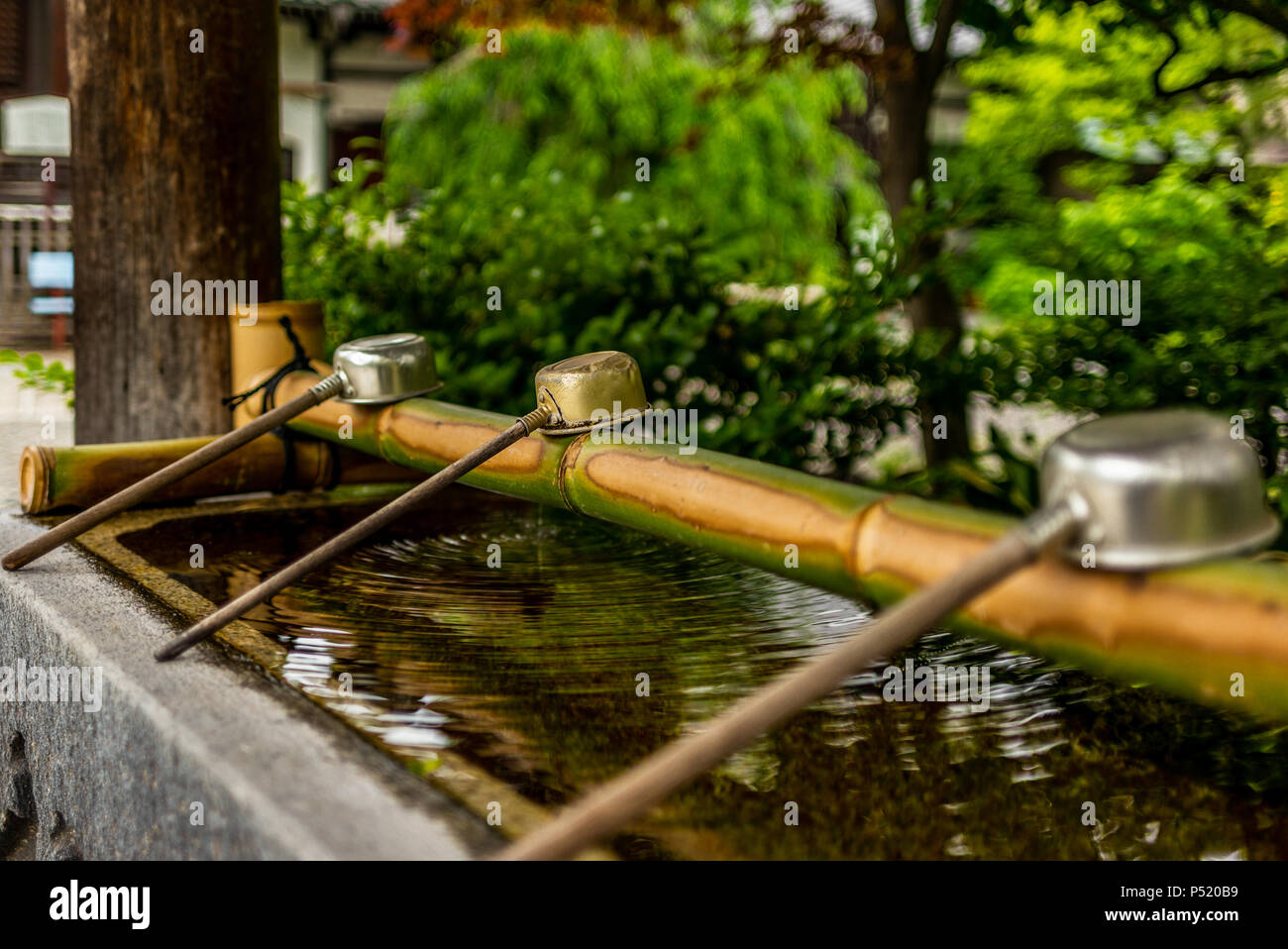 Stillness at the water basin at the entrance of a shrine in Japan for ...