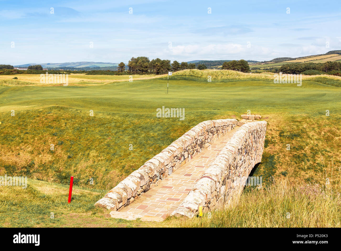 Red fescue grass hi-res stock photography and images - Alamy