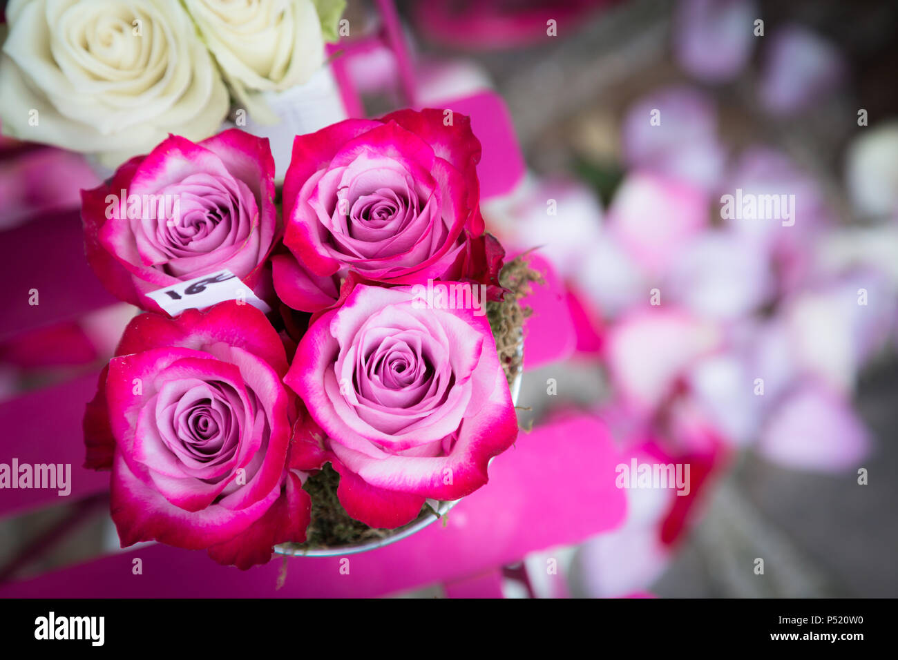 Flowers with petals hi-res stock photography and images - Alamy