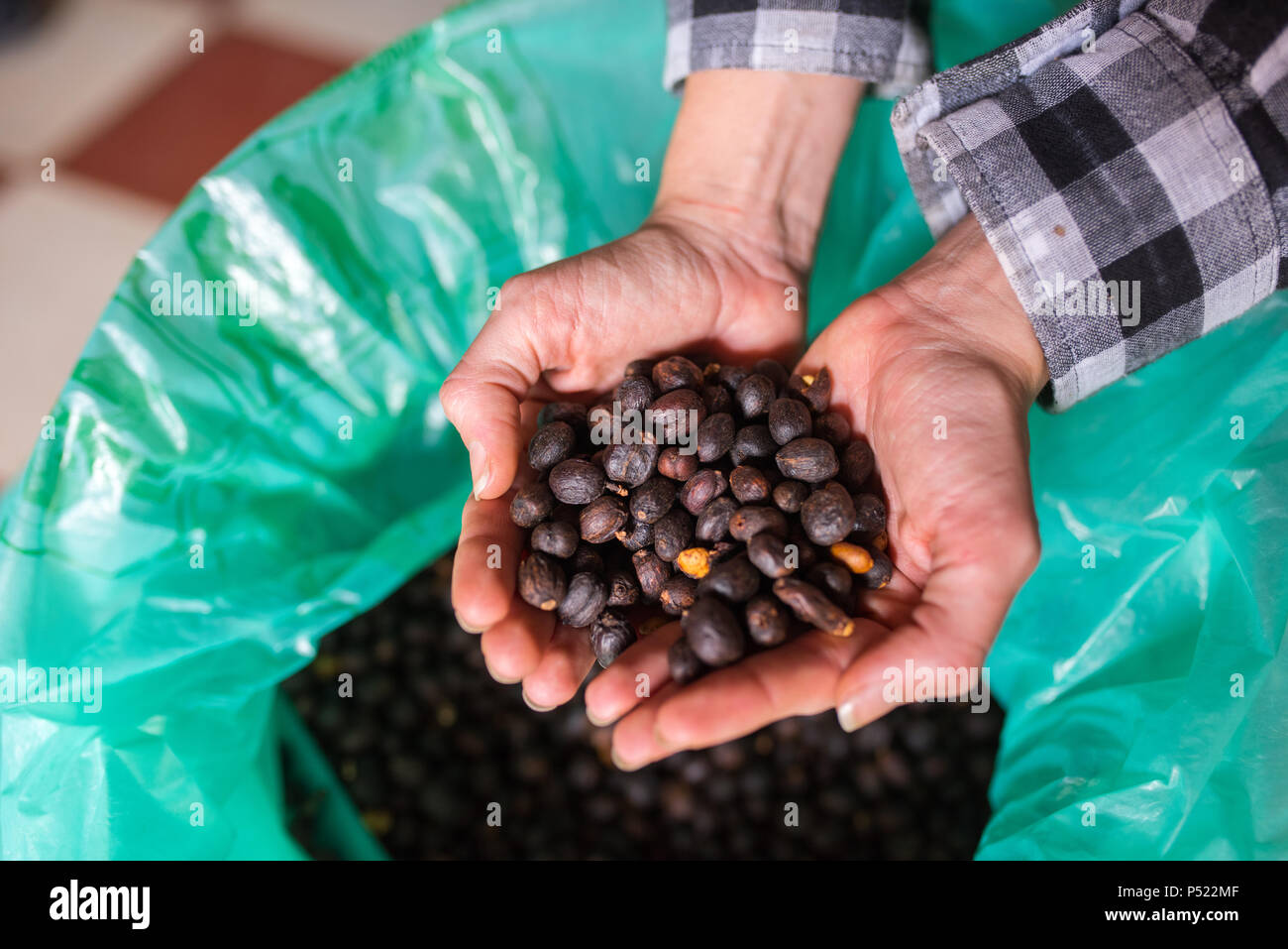 Dried coffee beans in honey procedure Stock Photo - Alamy
