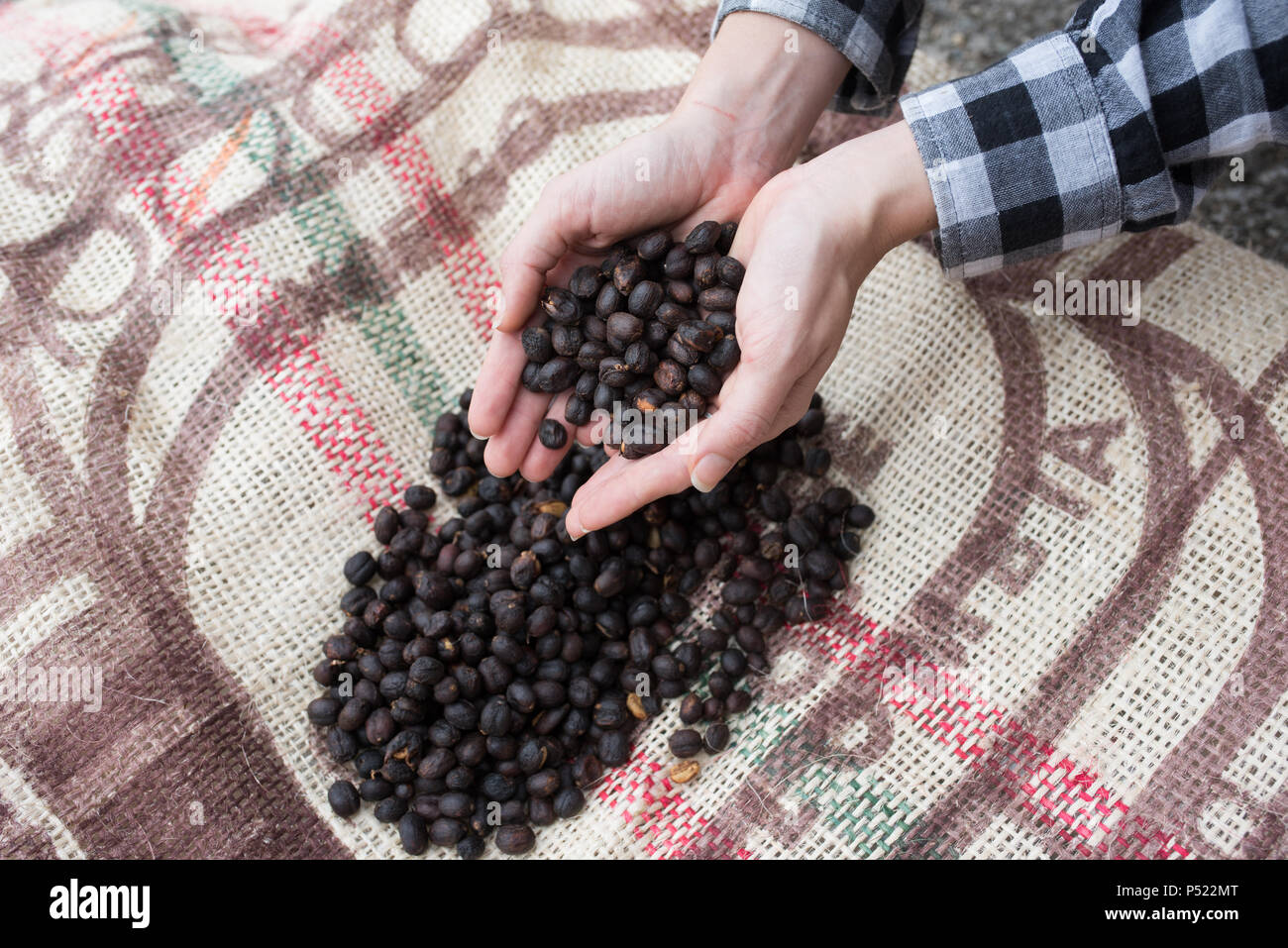 Dried coffee beans in honey procedure Stock Photo - Alamy