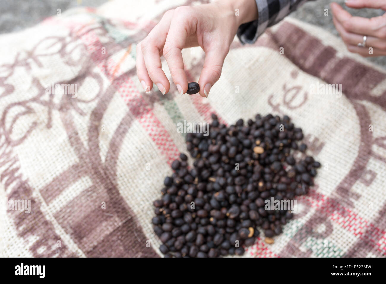 Dried coffee beans in honey procedure Stock Photo - Alamy