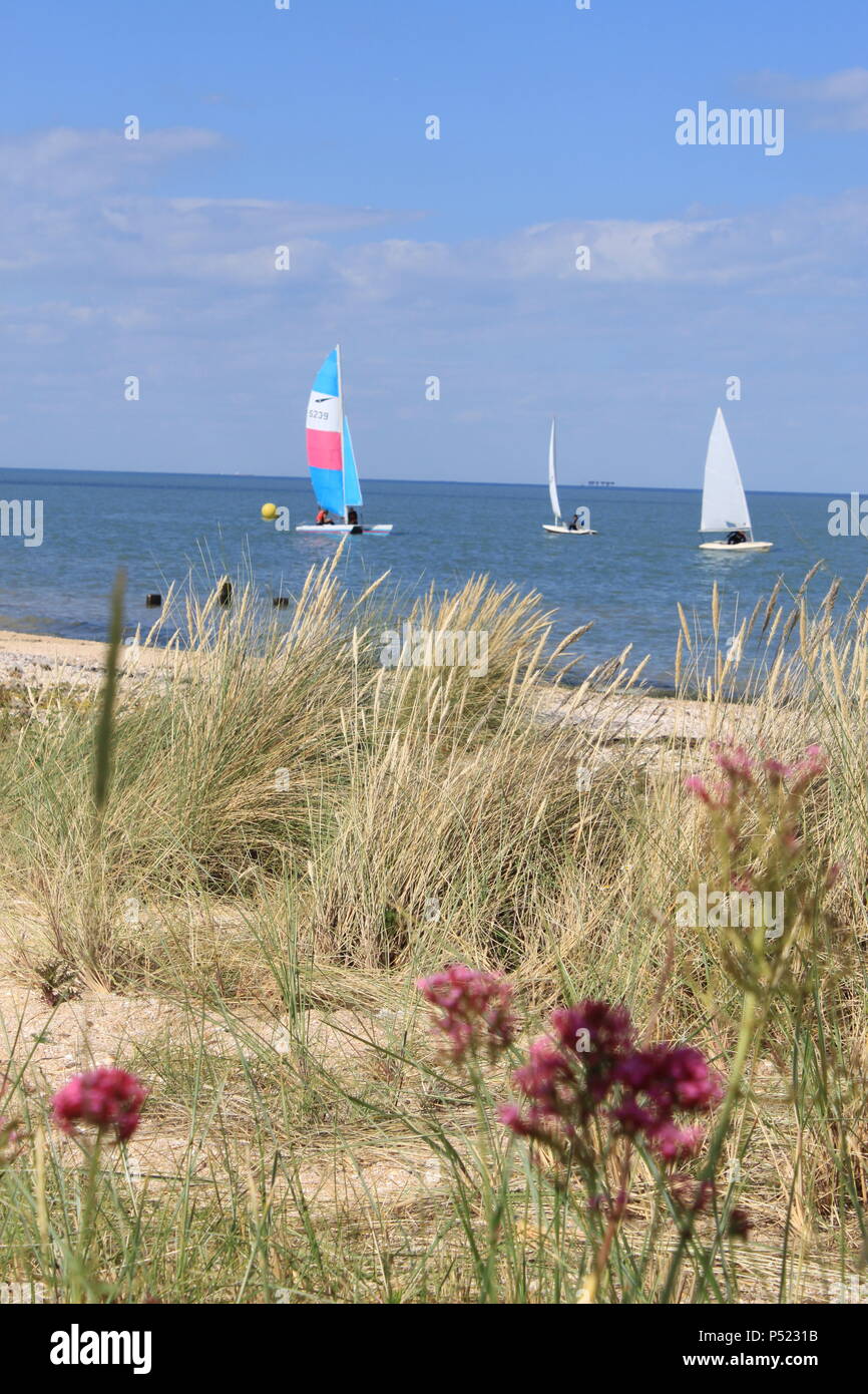 Shellness private hi-res stock photography and images - Alamy