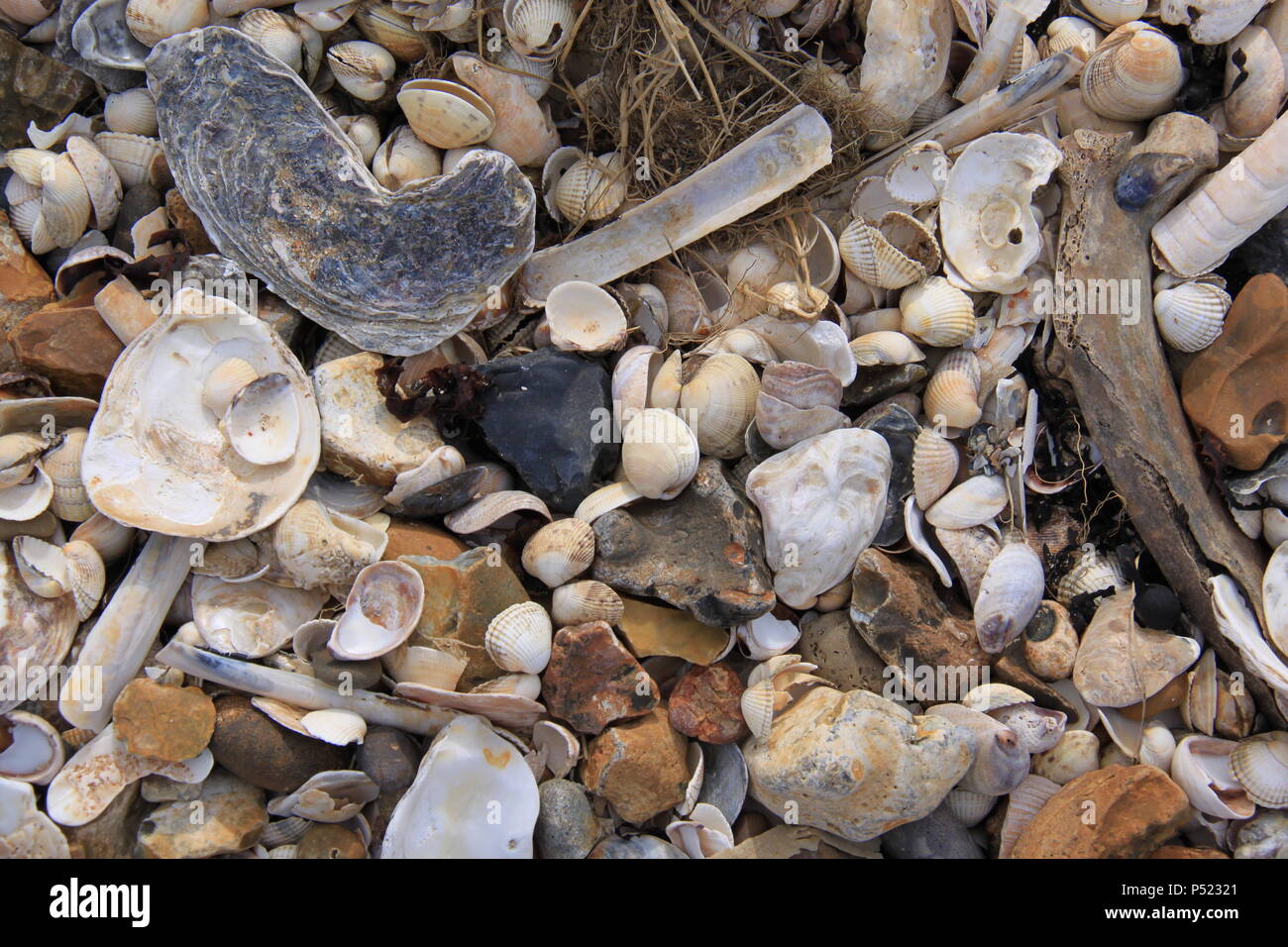Hamlet of shellness hi-res stock photography and images - Alamy