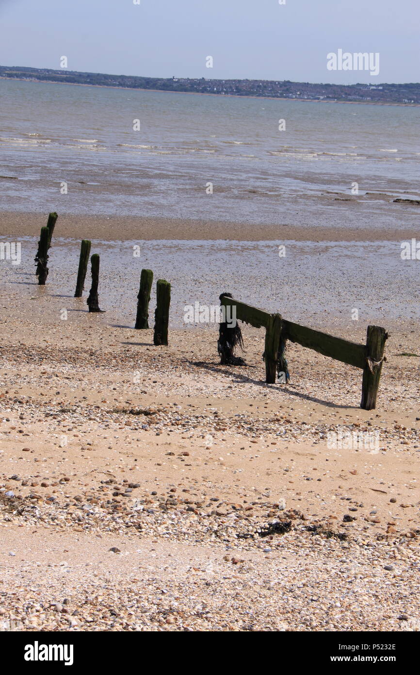 Old Weathered Groynes Protecting Against Coastal Erosion On Shellness