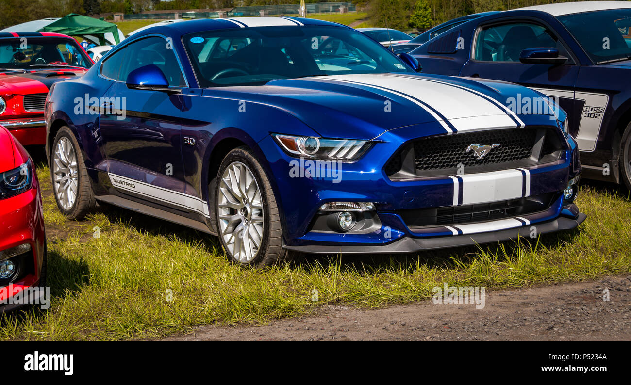 Muscle Car High Resolution Stock Photography and Images - Alamy