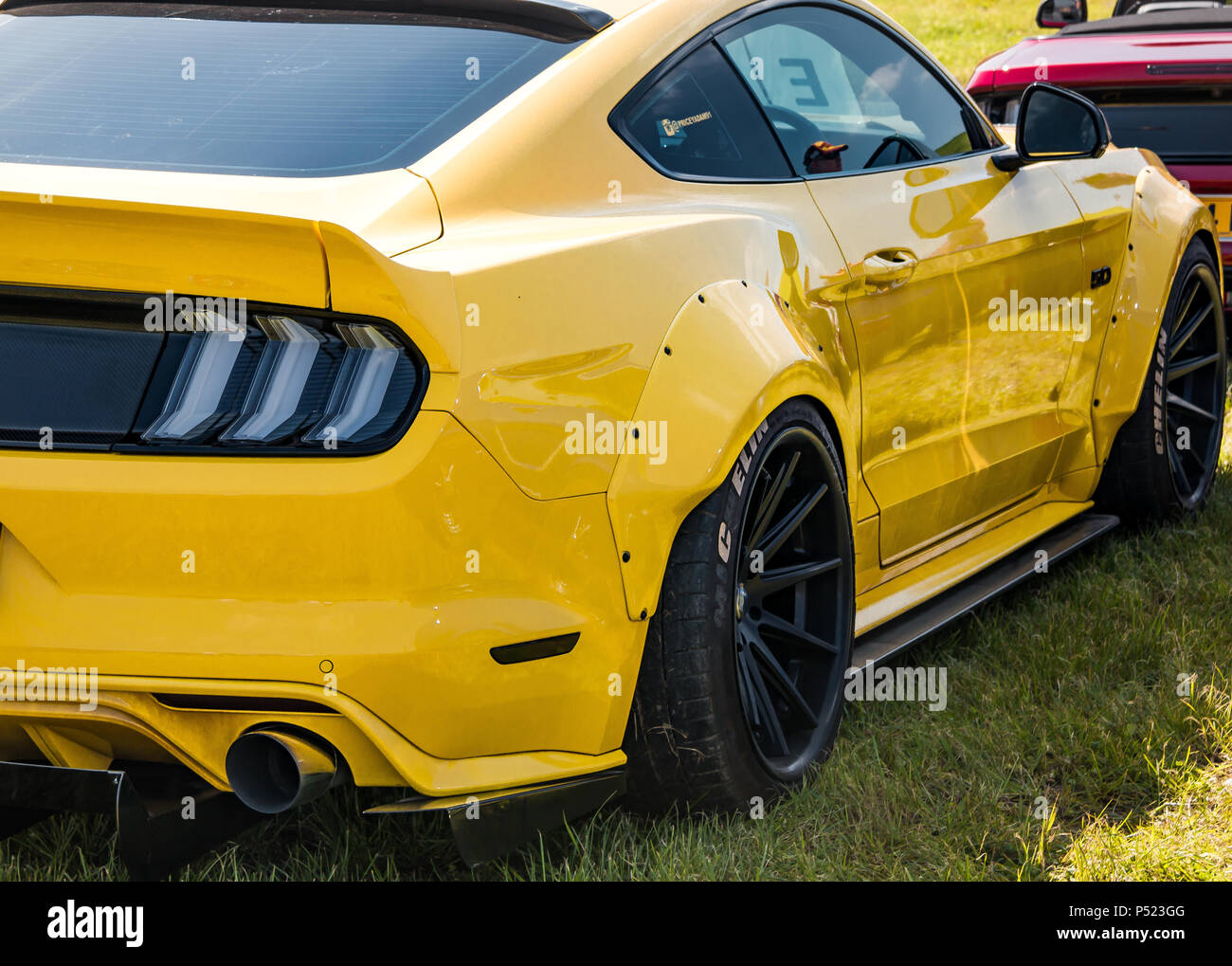 Exciting mustang hi-res stock photography and images - Alamy
