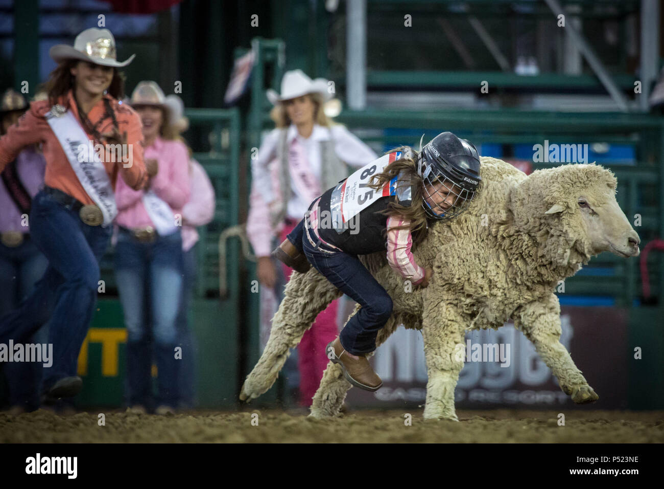Lily competition hi-res stock photography and images - Alamy