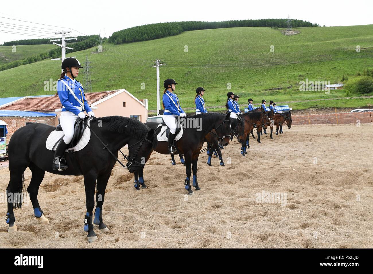 Ceremonial mounted unit hi-res stock photography and images - Alamy