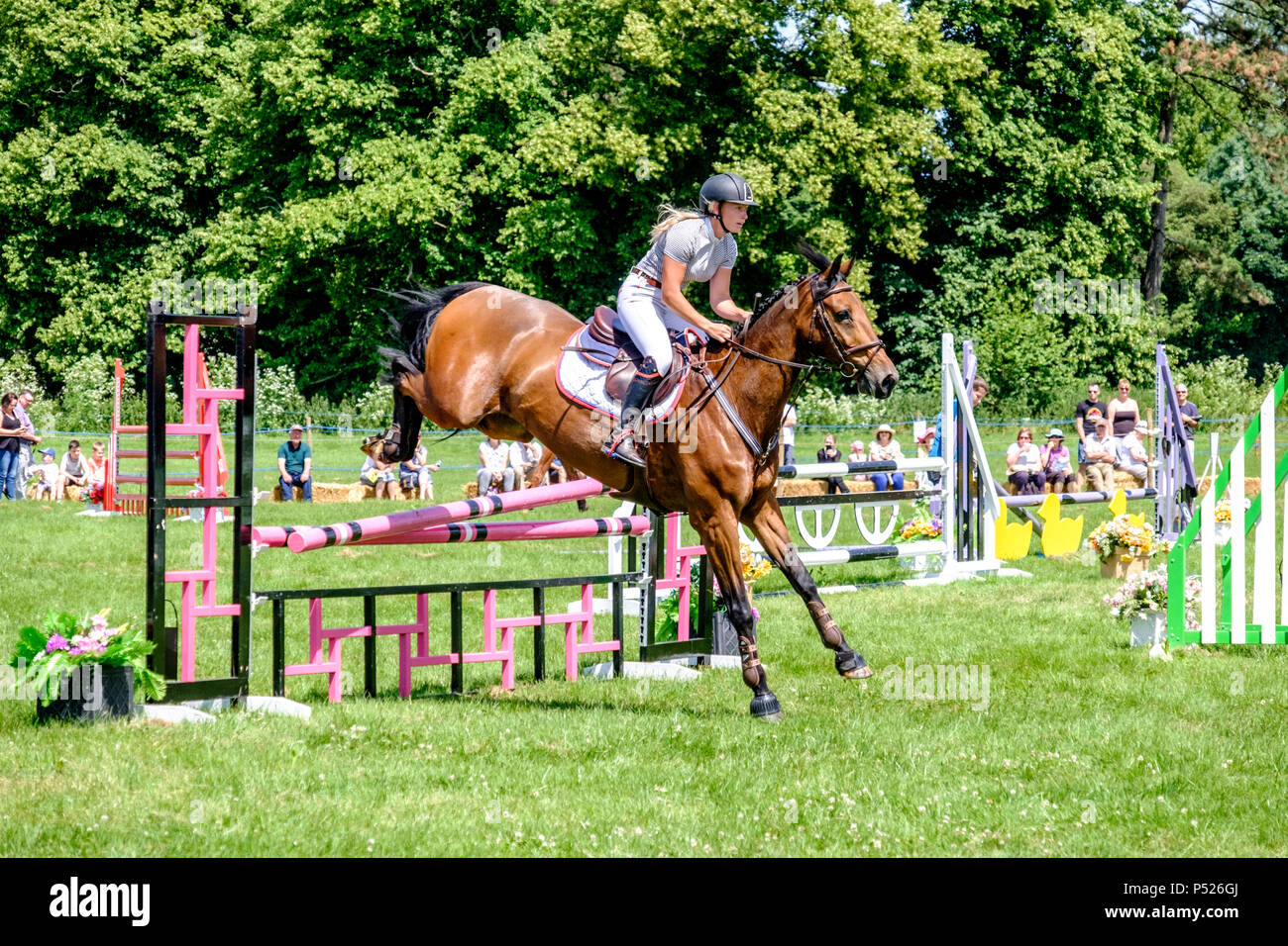 Gloucestershire, UK. 24th June 2018. The annual Berkeley show is held ...