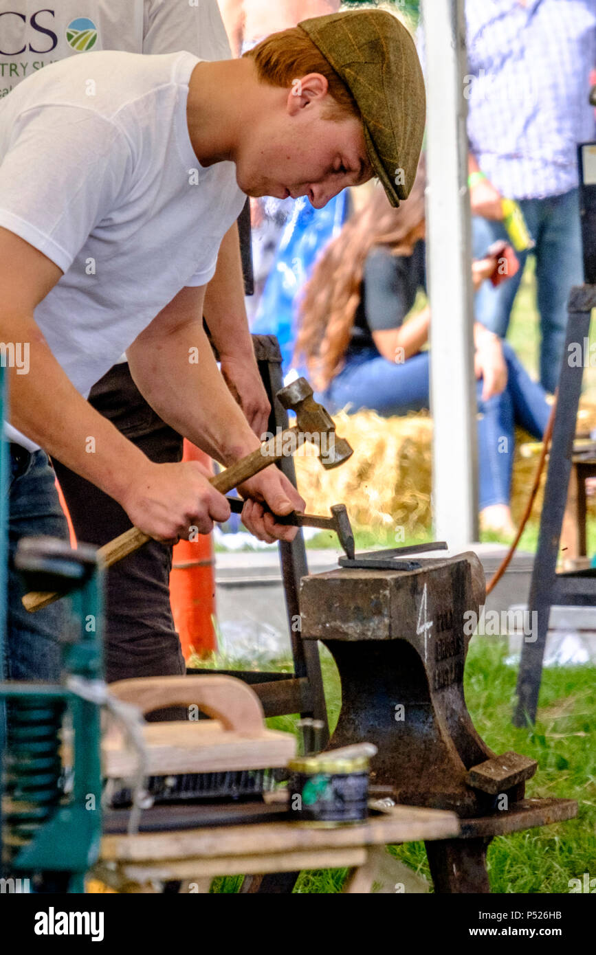 Gloucestershire, UK. 24th June 2018. The annual Berkeley show is held ...