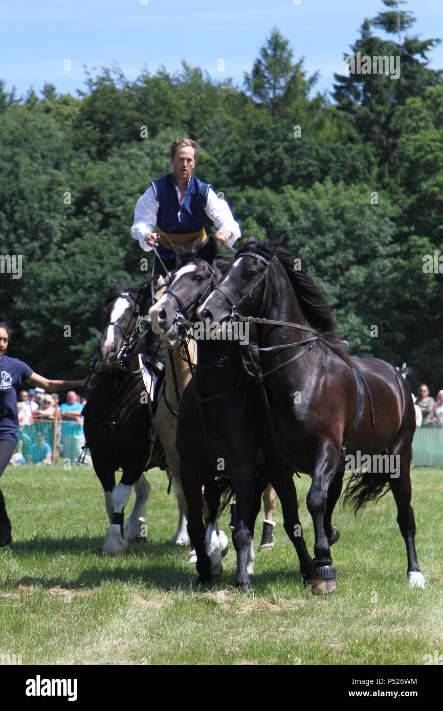Atkinson Horse Display Team Stock Photo - Alamy