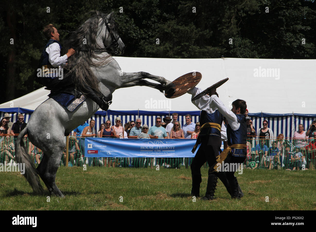 Atkinson Horses High Resolution Stock Photography and Images - Alamy