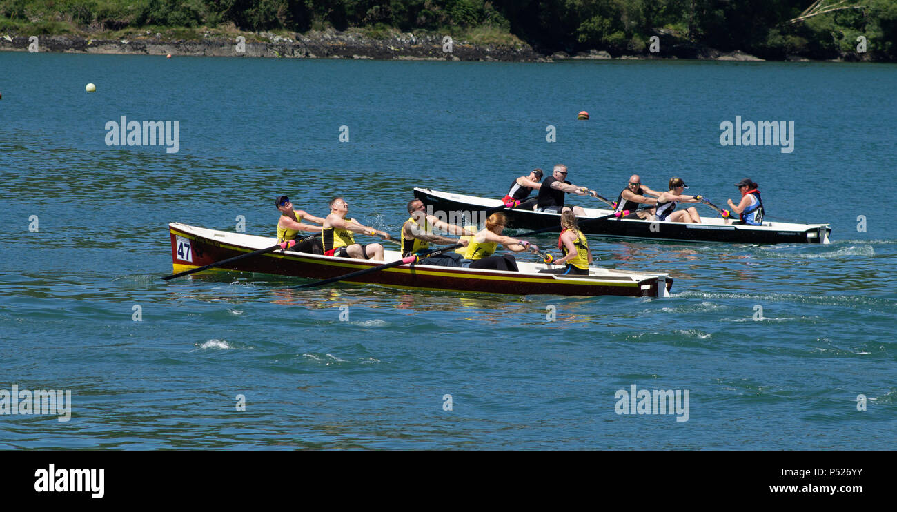 Union Hall, West Cork, Ireland. 24th June, 2018. The Union Hall Rowing ...
