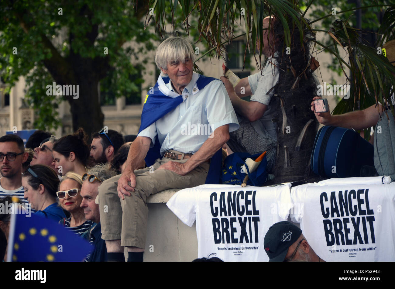 London, UK. 23rd June, 2018. Cancel Brexit demonstrator in Parliament ...