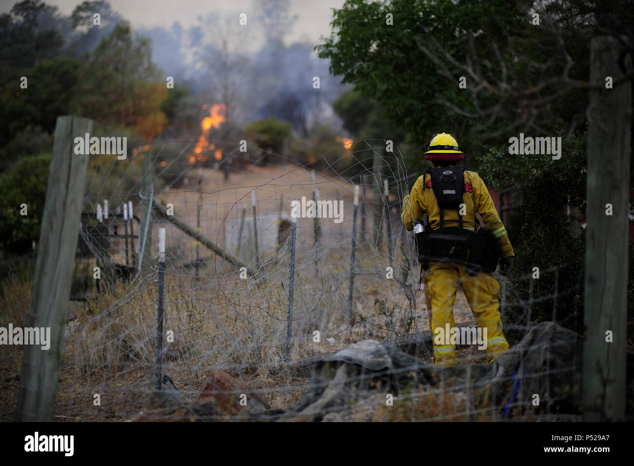 Clearlake Oaks, California, USA. 24th June, 2018. A Cal Fire strike ...