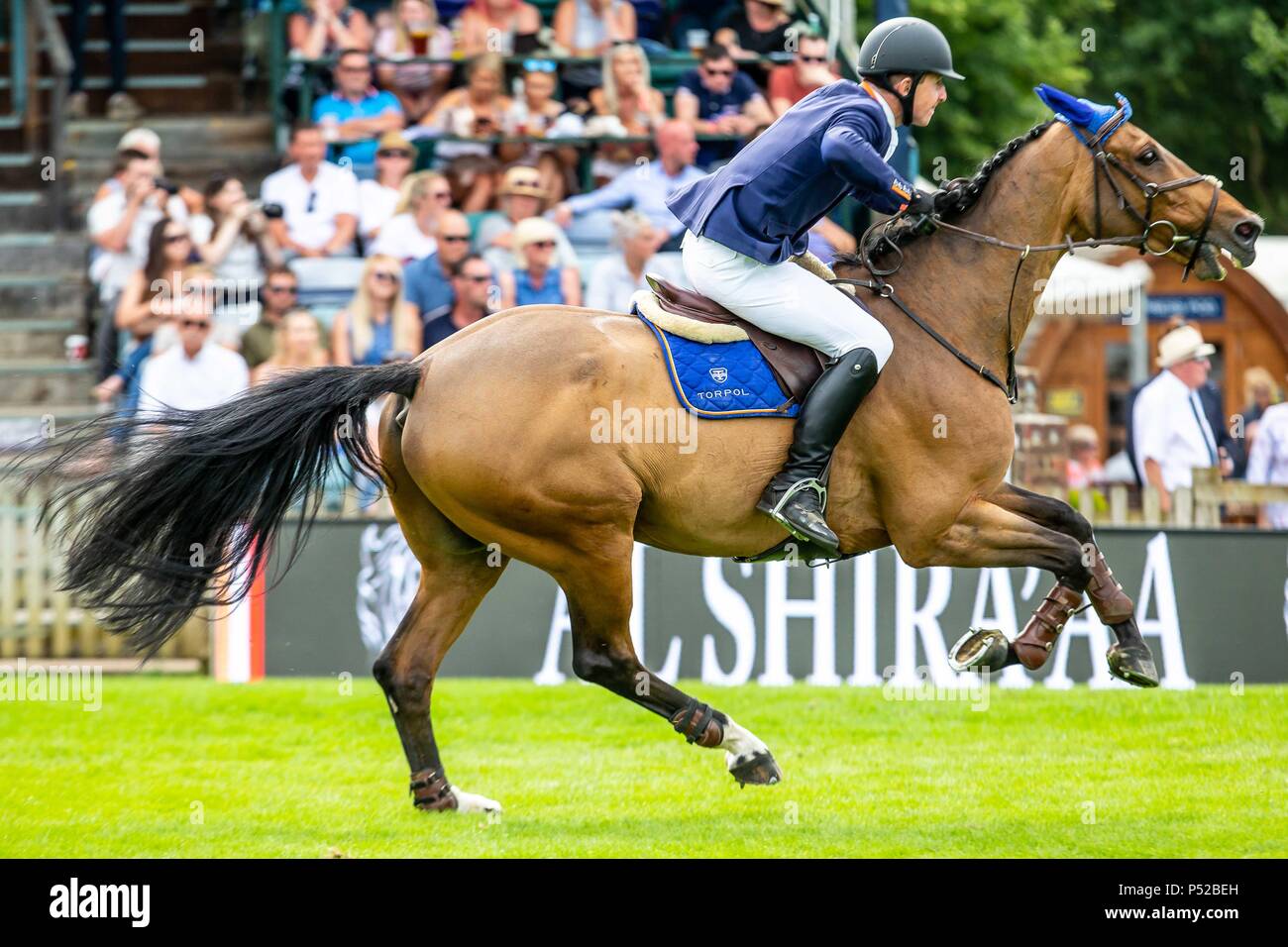 West Sussex, UK. 23rd June, 2018. Paddy O'Donnell riding Finnegans ...