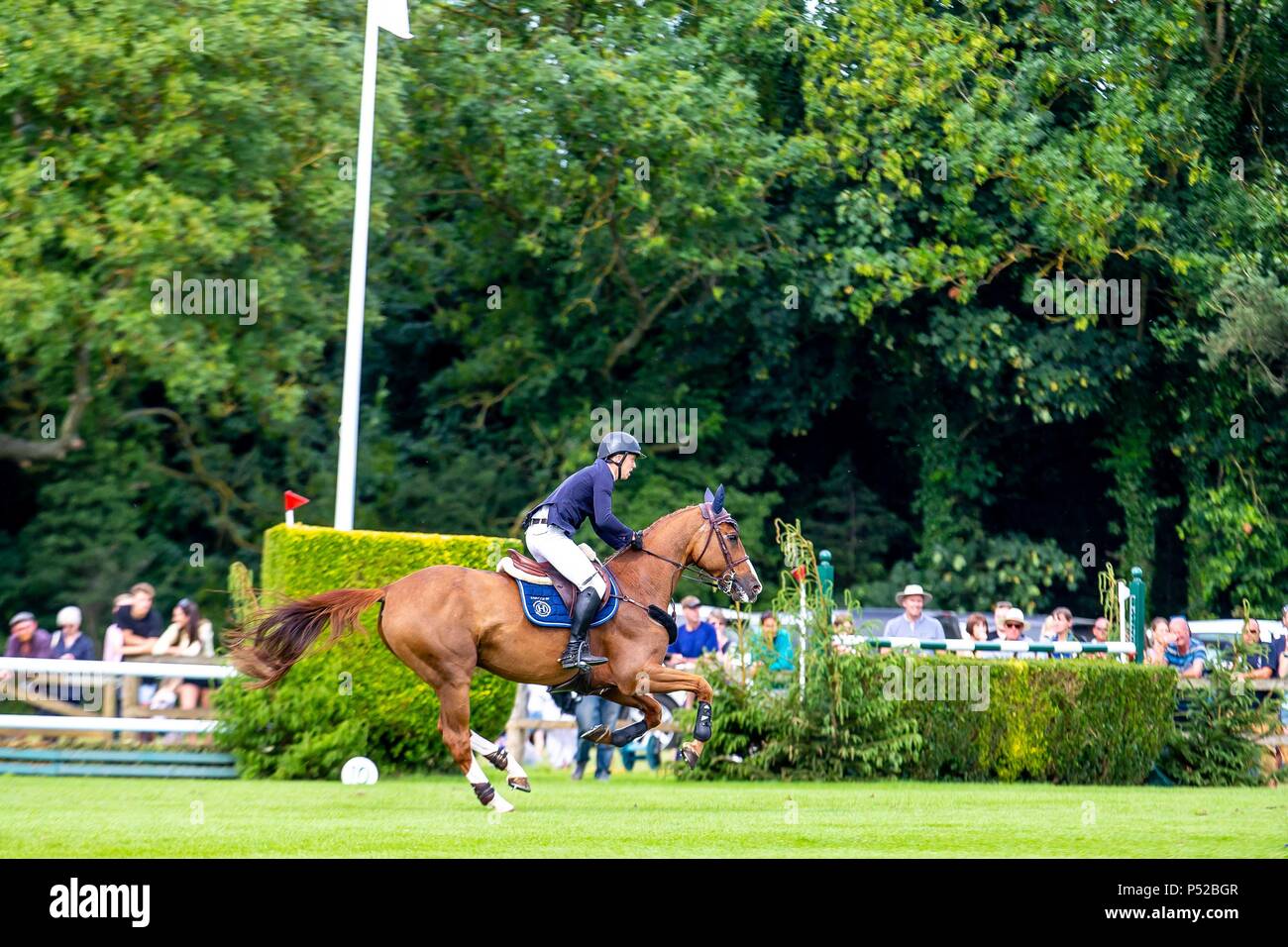 West Sussex, UK. 23rd June, 2018. Winner. Matt Sampson riding Topflight Carlo. GBR.The British ...