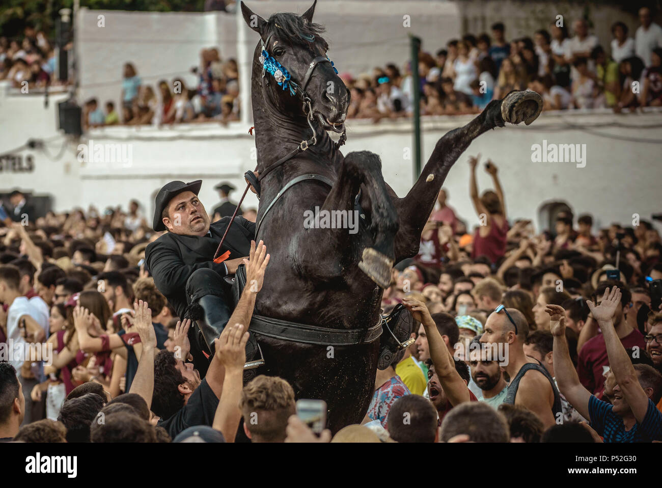 Ciutadella, Spain. 24 June, 2018: A 'caixer' (horse rider) rears up on ...