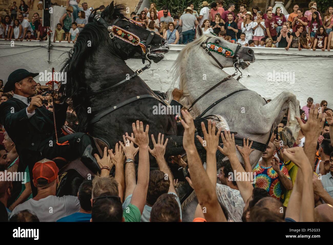 Ciutadella, Spain. 24 June, 2018: A 'caixer' (horse rider) rears up on ...