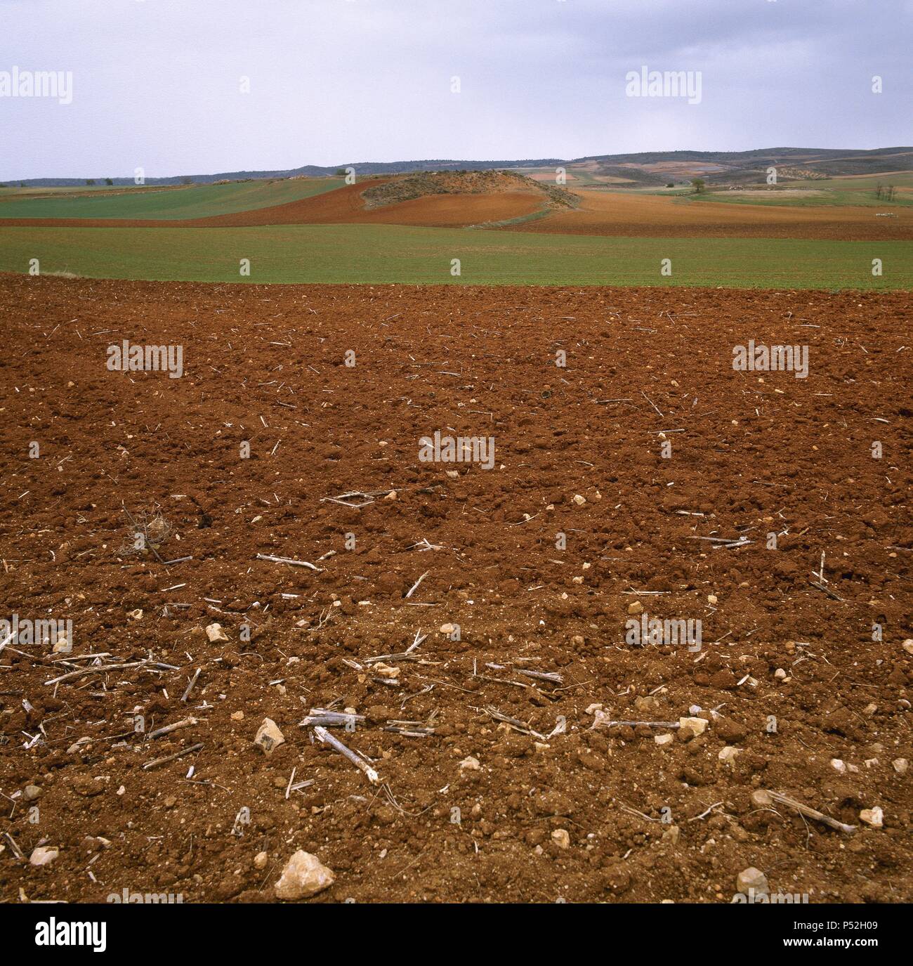 Labranza hi-res stock photography and images - Alamy