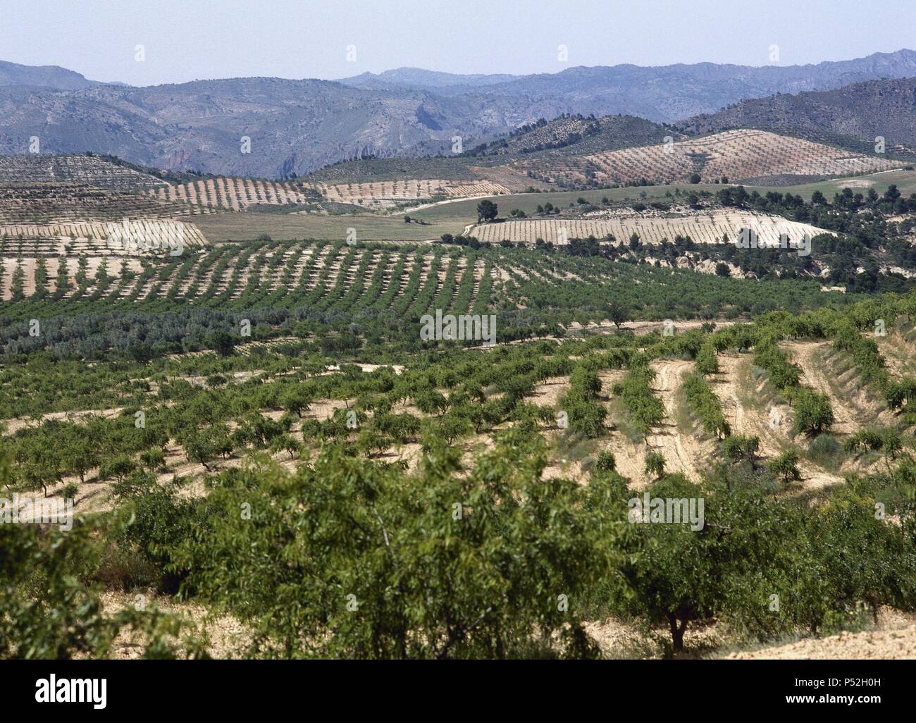 Diferentes cultivos hi-res stock photography and images - Alamy