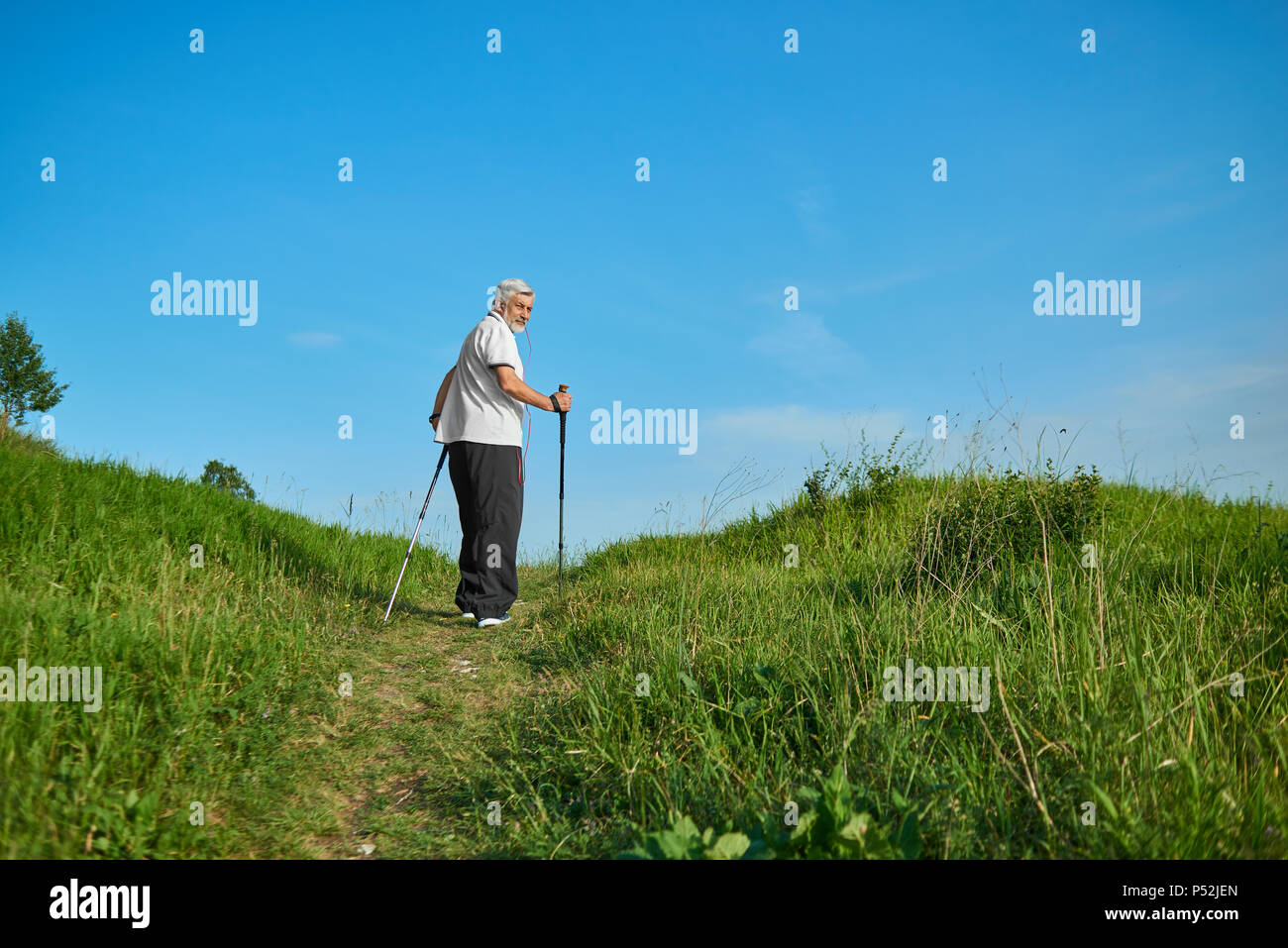 Field edge stripes hi-res stock photography and images - Alamy