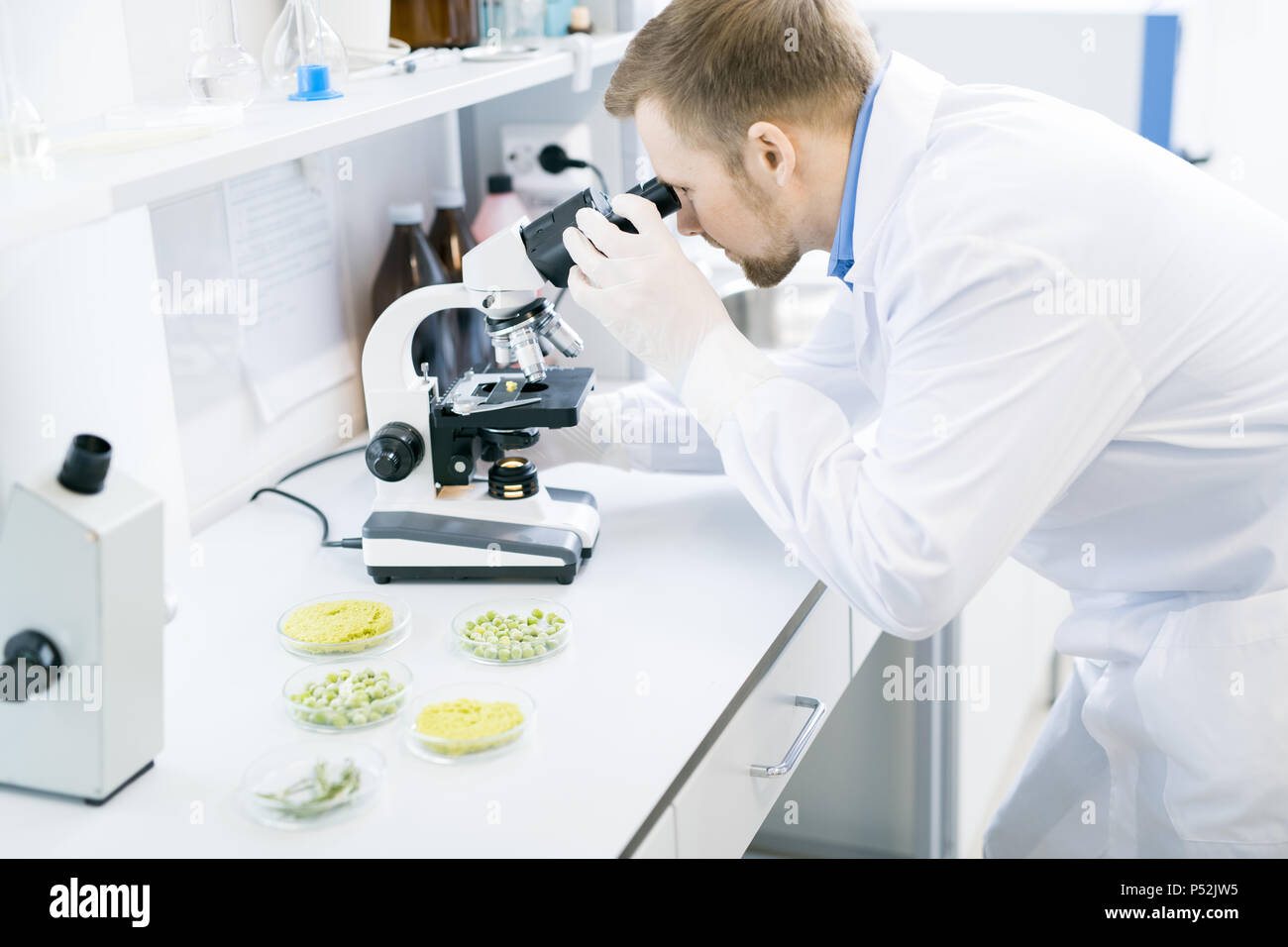 Male scientist studying green vegetables under microscope Stock Photo ...