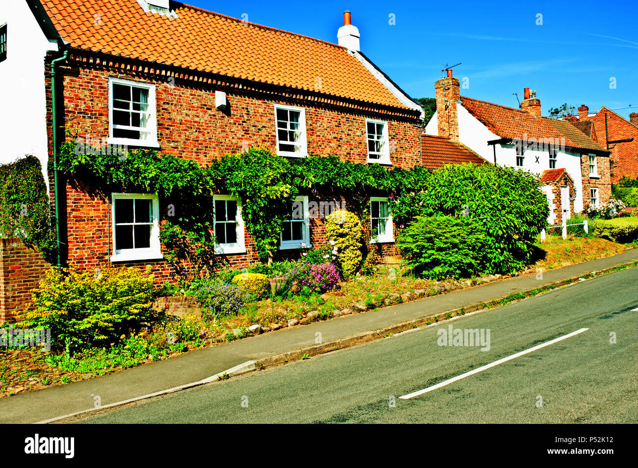 Cottages, Nether Poppleton,North Yorkshire, England Stock Photo - Alamy