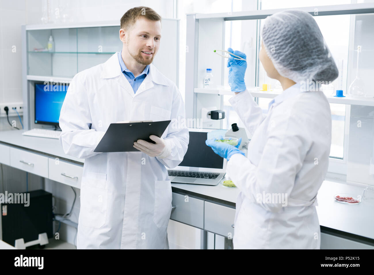 Microbiologists discussing vegetable sample in laboratory Stock Photo ...