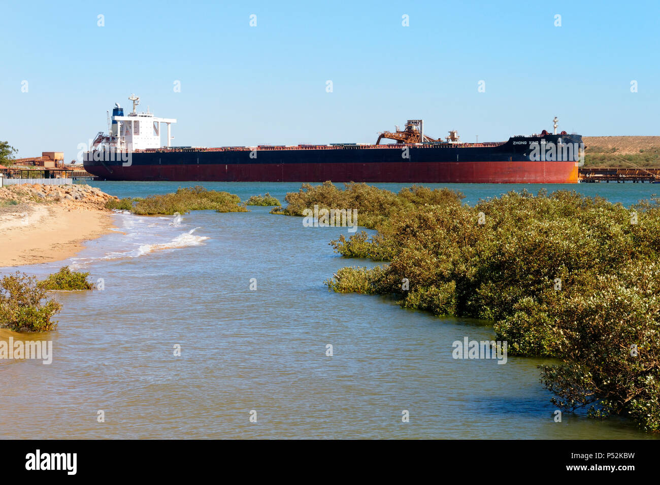 Hai australia hi-res stock photography and images - Alamy